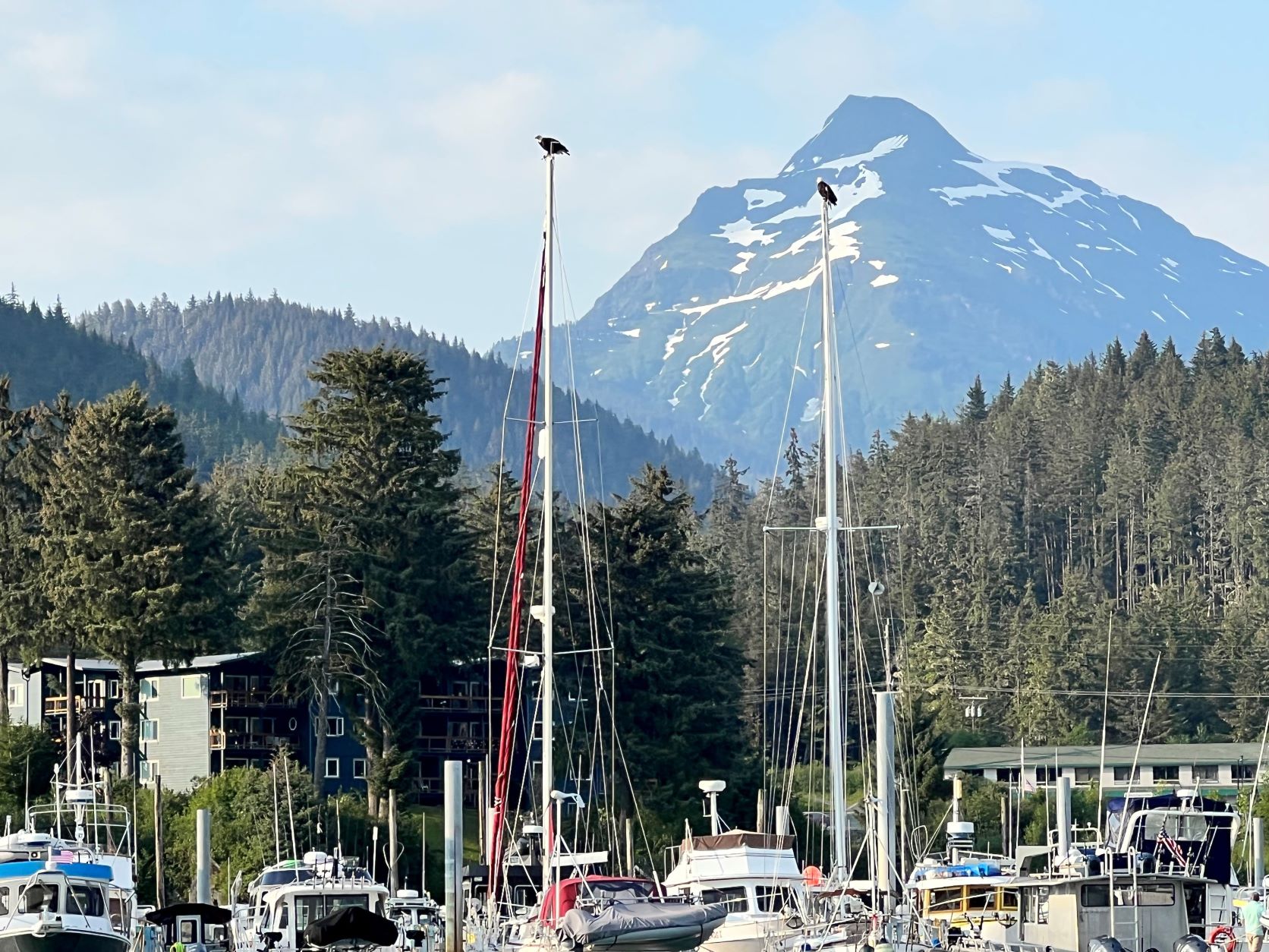 The Best Juneau Whale Watching Tour in Alaska - He Works So I Travel