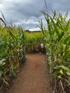 Get Lost in this Amazing Corn Maze in Connecticut - He Works So I Travel